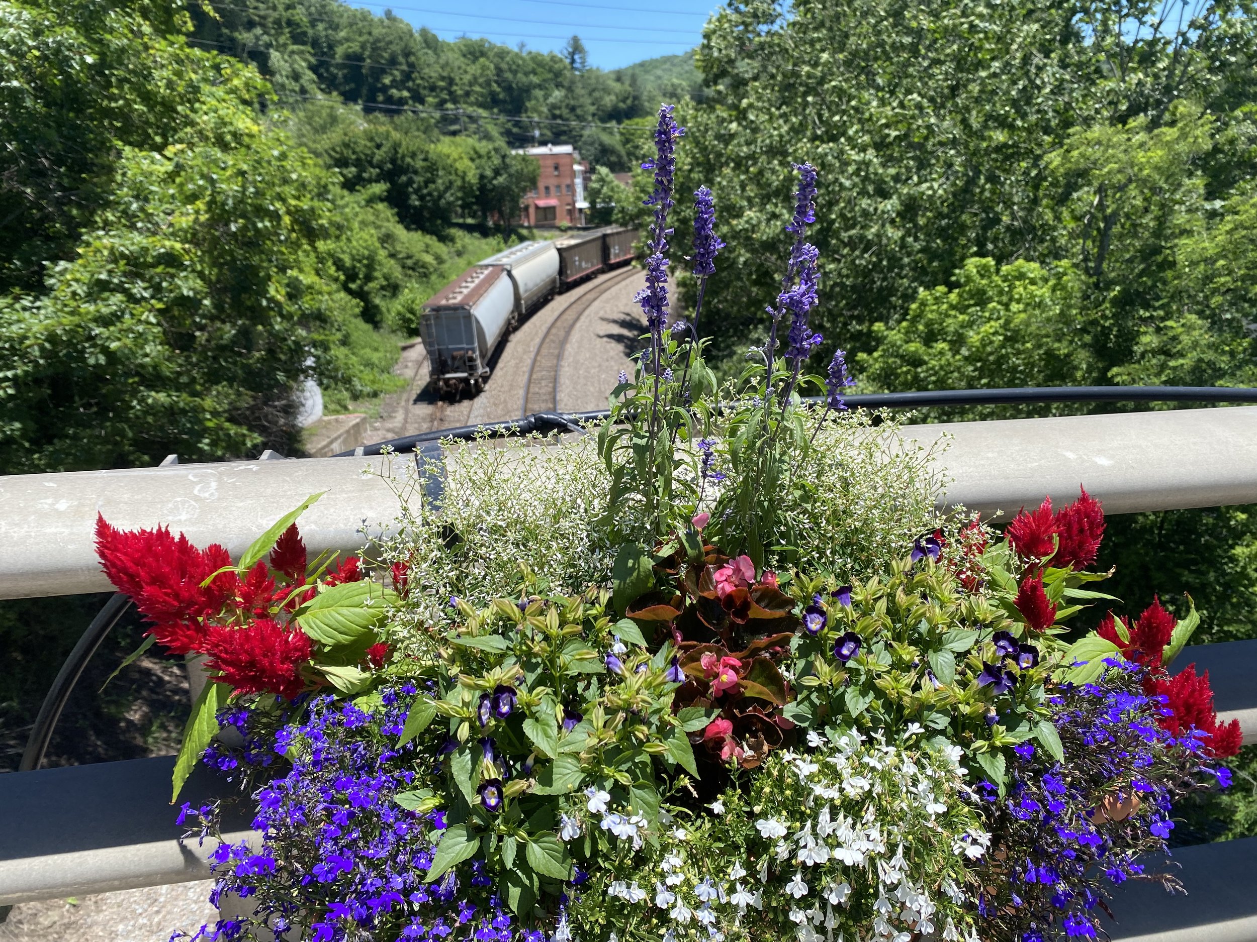 About Our Town — Downtown Spruce Pine NC