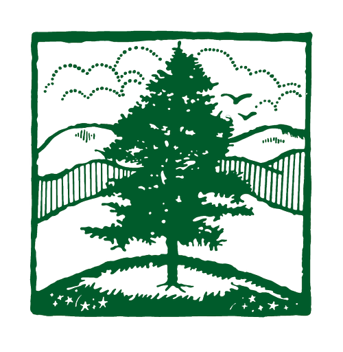 Street Festival — Downtown Spruce Pine NC