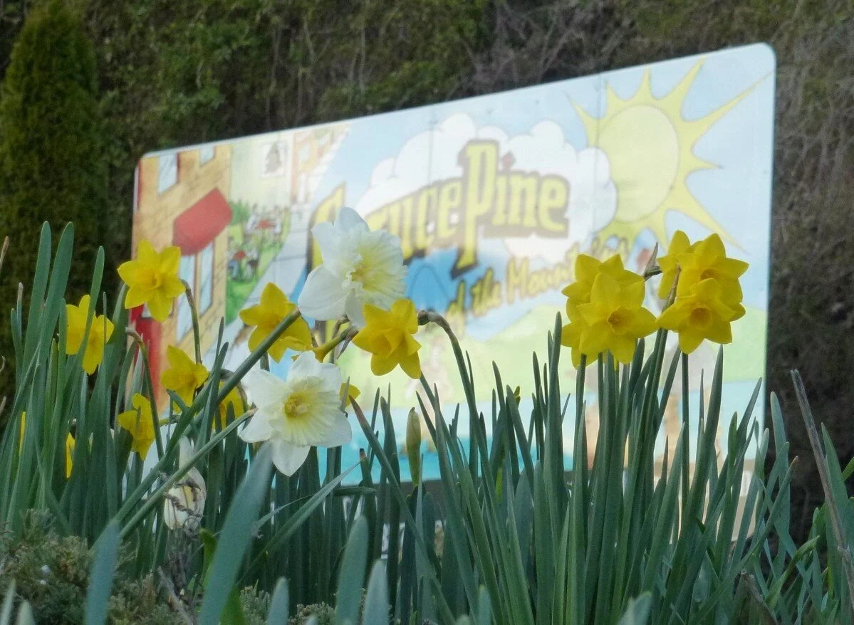 About Our Town — Downtown Spruce Pine NC