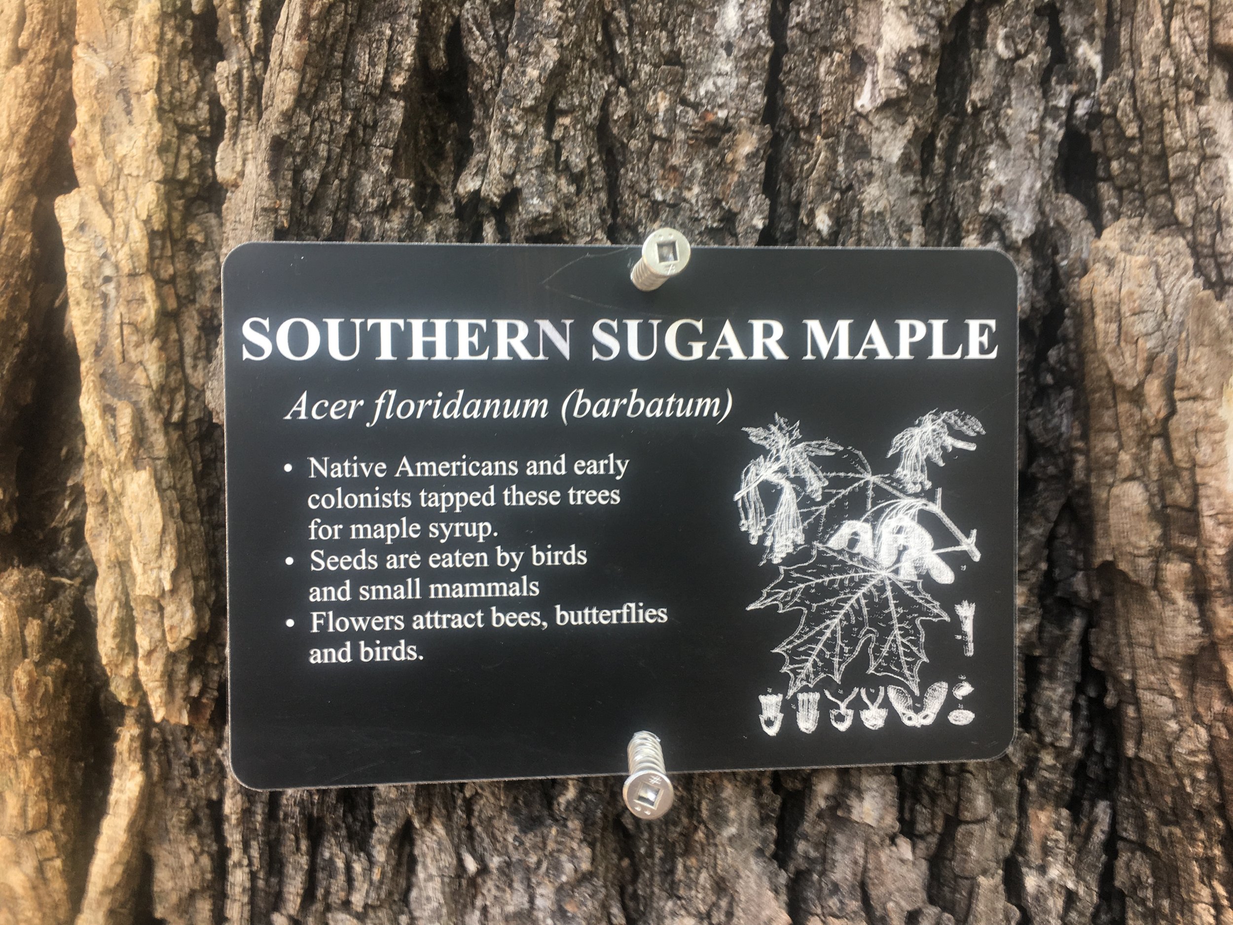 Arboretum Signs and Tree Labels | Plant ID Signs — Lark Signs