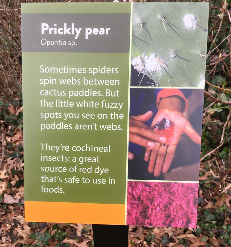 Botanical Garden Signs | Custom Plant Identification Signs — Lark Signs