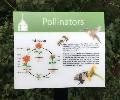 Plant Signs for Botanical Gardens & Public Landscapes — Lark Signs