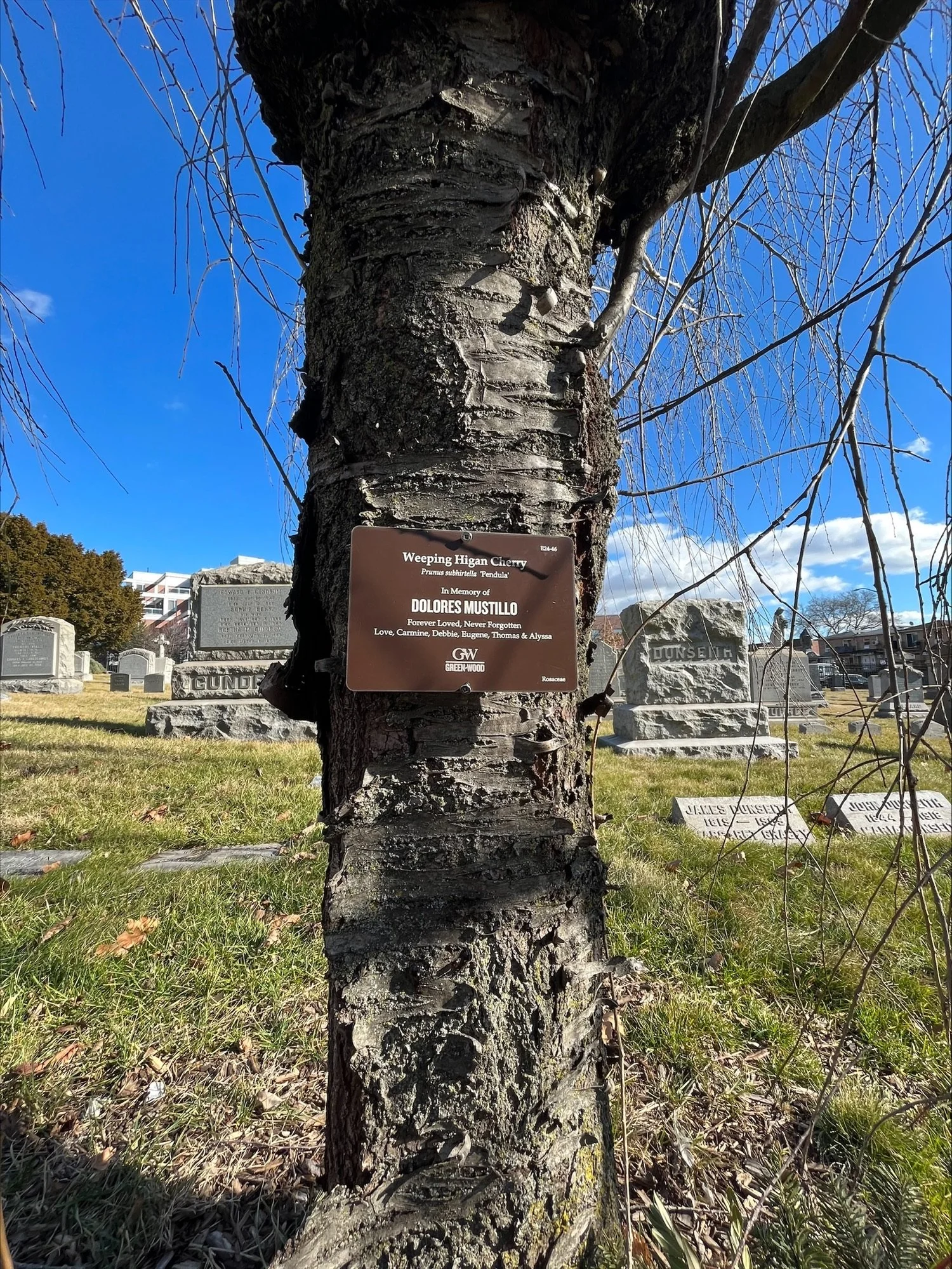 Arboretum Signs and Tree Labels | Plant ID Signs — Lark Signs