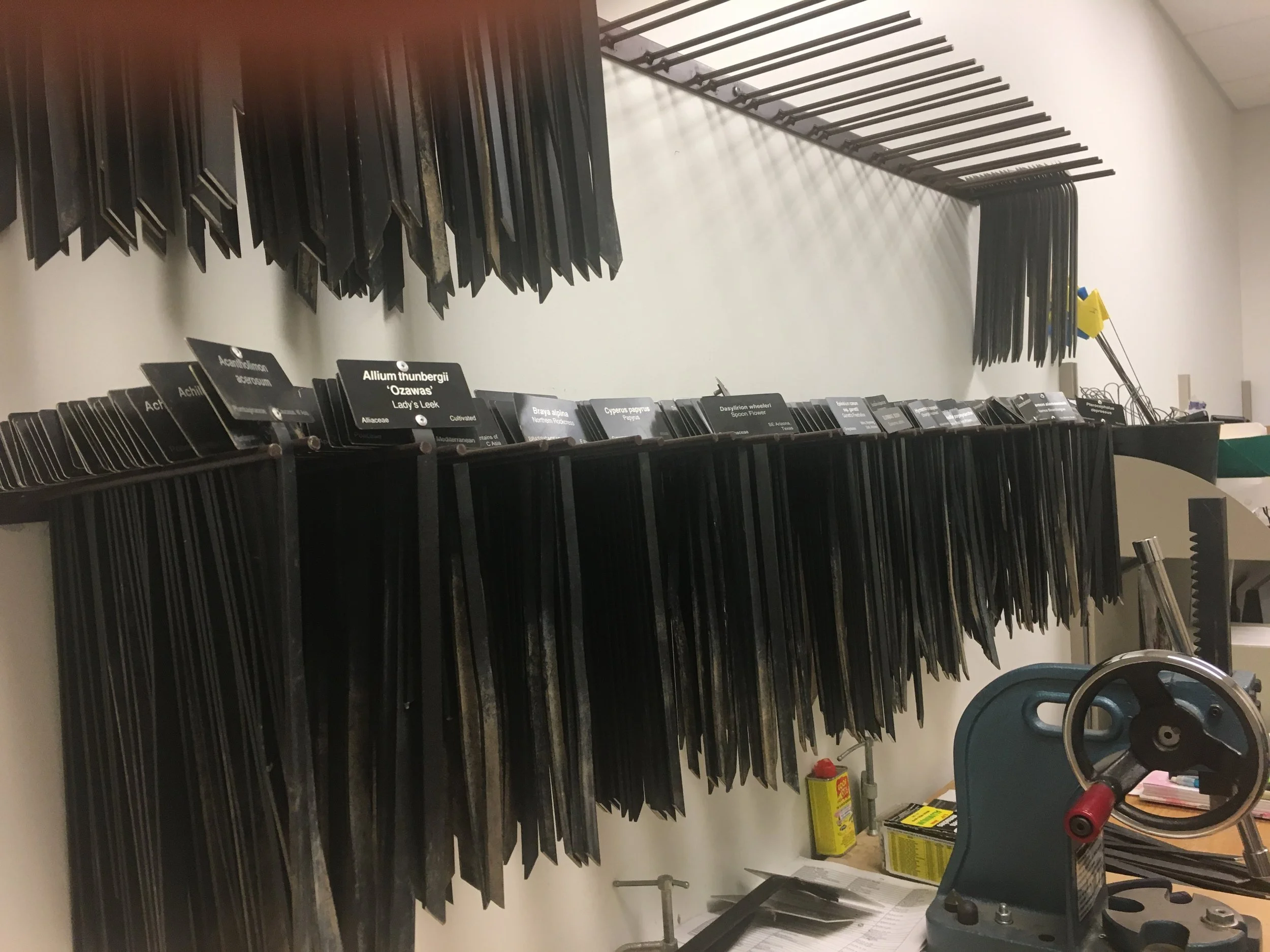 Custom Identification & Educational Sign Services | Lark Signs