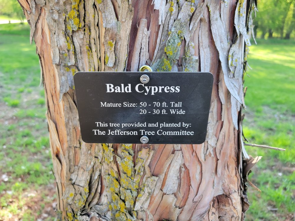 Arboretum Signs and Tree Labels | Plant ID Signs — Lark Signs