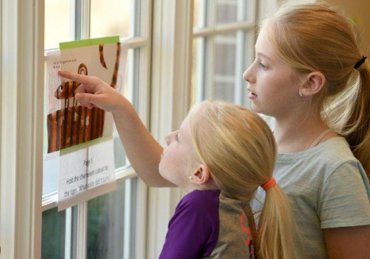 StoryWalk Display Ideas: 6 DIY, Temporary, and Permanent Ways to Set Up ...