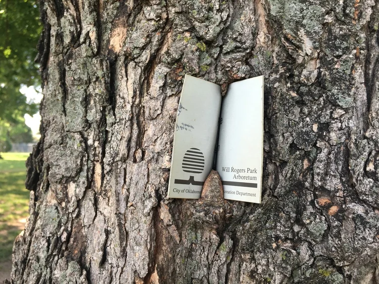 How to Adjust Tree Markers So They Don’t Fold (And Leave Room for Tree ...