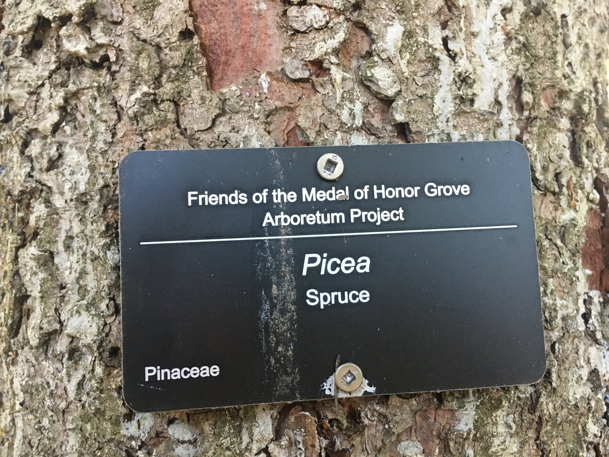 Arboretum Signs and Tree Labels | Plant ID Signs — Lark Signs