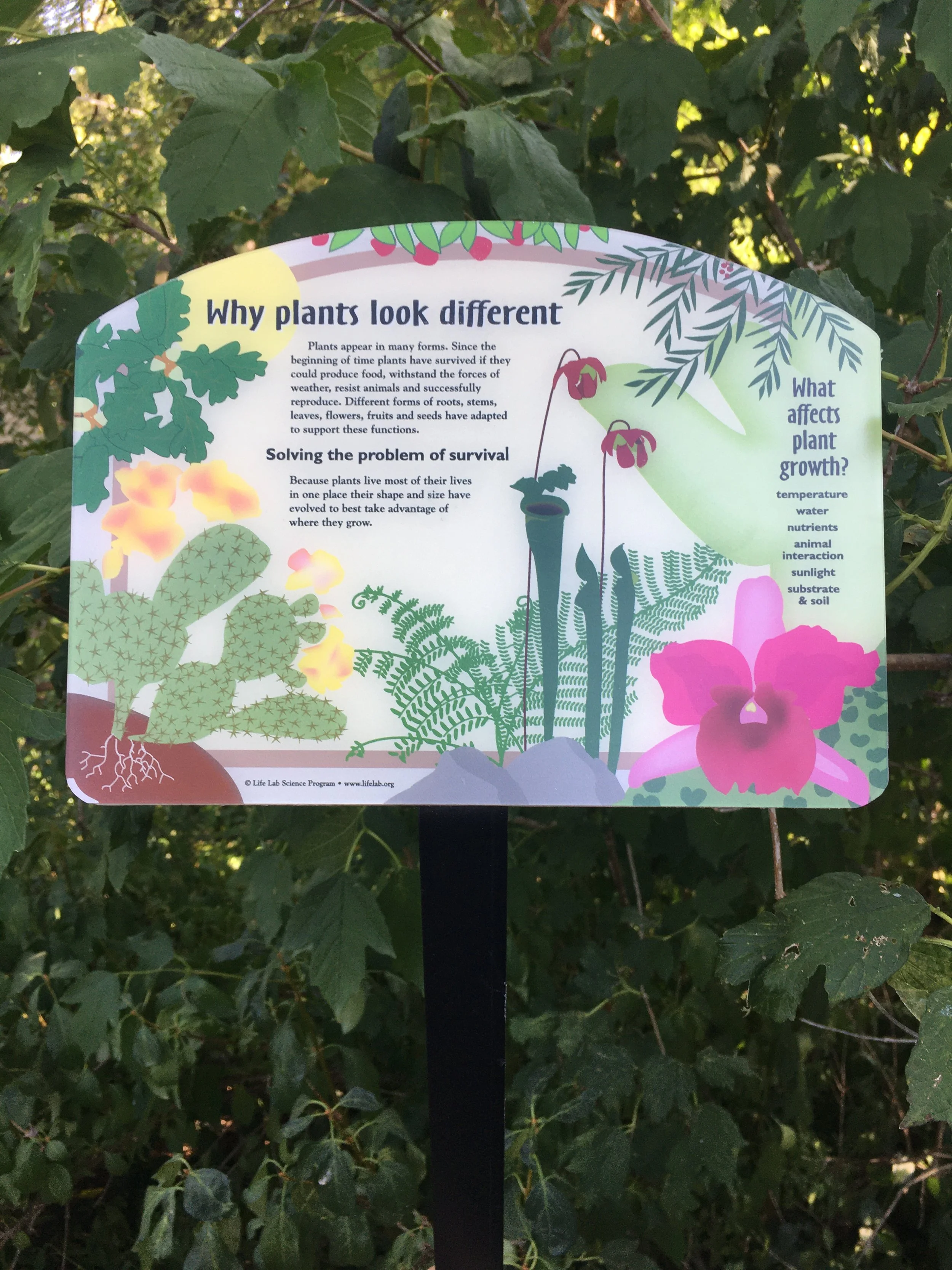Interpretive Signs | Custom Outdoor Signs for Parks and Museums — Lark ...