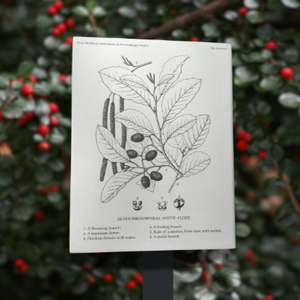 Plant ID Signs and Markers | Custom Botanical Garden & Arboretum ...