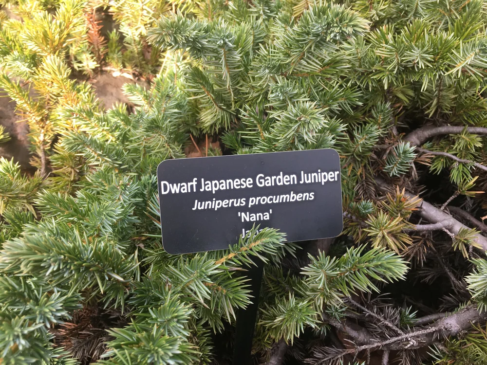 Botanical Garden Signs | Custom Plant Identification Signs — Lark Signs