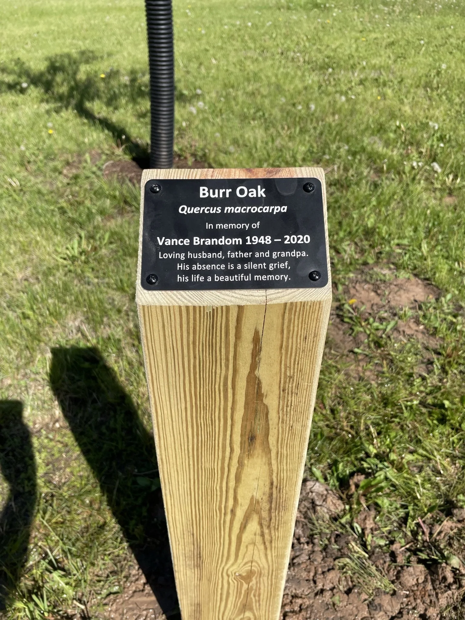 Trail Signs & Wayfinding Signs | Custom Outdoor Directional Signage ...