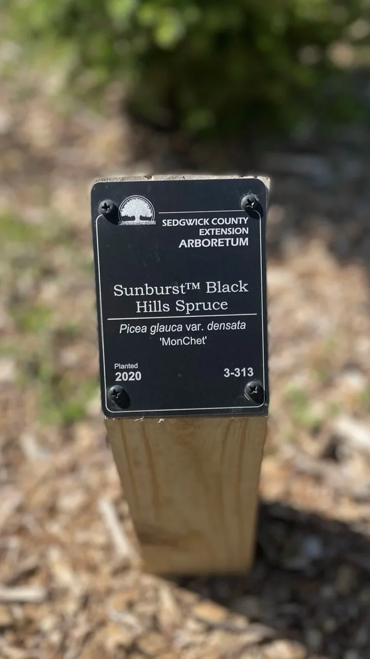 Trail Signs & Wayfinding Signs | Custom Outdoor Directional Signage ...