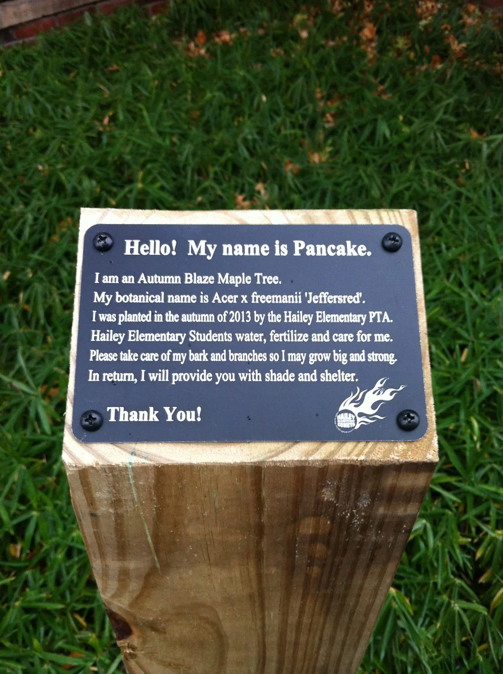 Trail Signs & Wayfinding Signs | Custom Outdoor Directional Signage ...