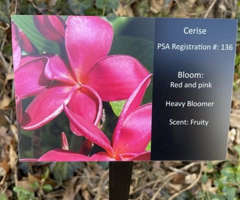 Plant Signs for Botanical Gardens & Public Landscapes — Lark Signs