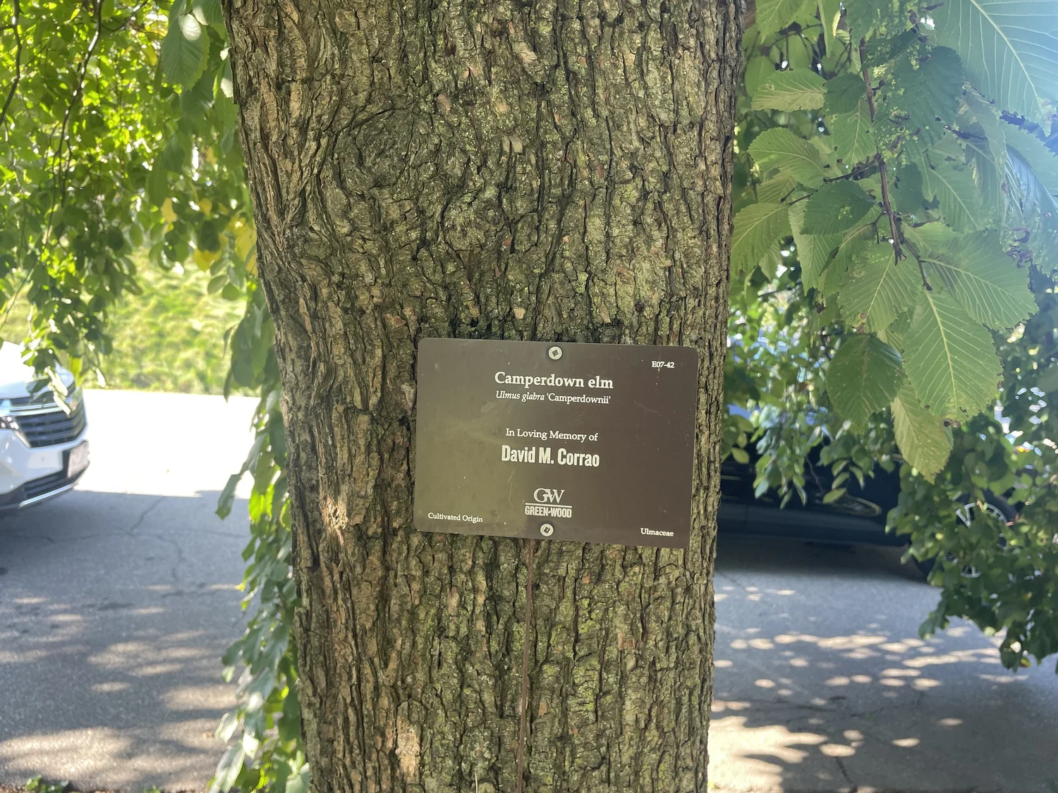 Arboretum Signs and Tree Labels | Plant ID Signs — Lark Signs