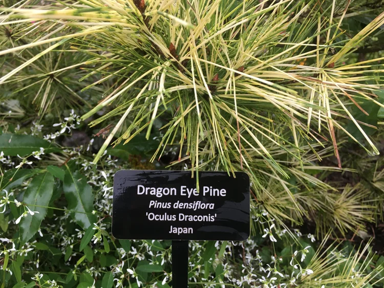 Botanical Garden Signs | Custom Plant Identification Signs — Lark Signs