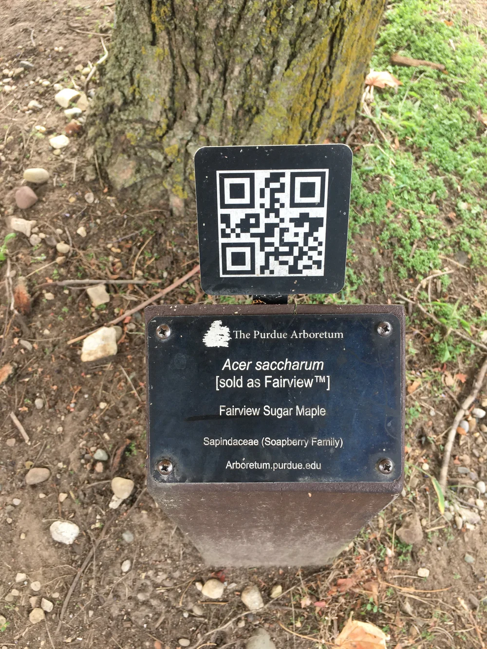 Trail Signs & Wayfinding Signs | Custom Outdoor Directional Signage ...