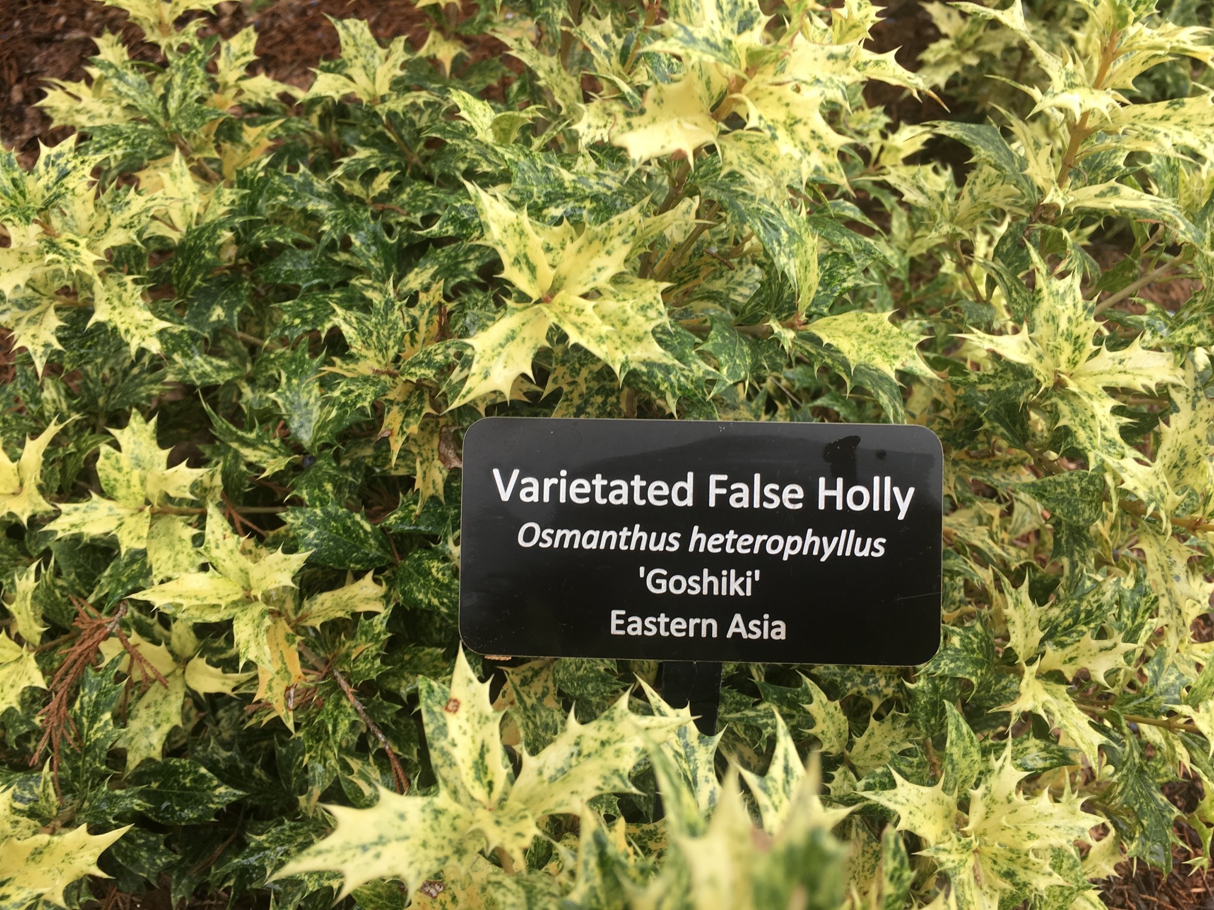 Botanical Garden Signs | Custom Plant Identification Signs — Lark Signs