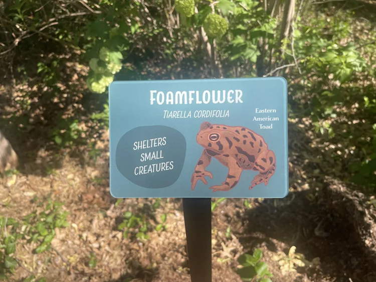 Botanical Garden Signs | Custom Plant Identification Signs — Lark Signs