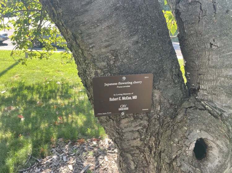 Arboretum Signs and Tree Labels | Plant ID Signs — Lark Signs