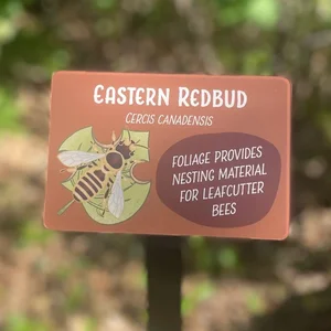 Plant ID Signs and Markers | Custom Botanical Garden & Arboretum ...