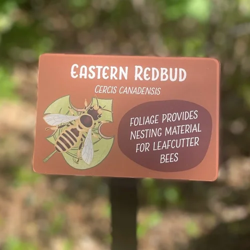 Plant ID Signs and Markers | Custom Botanical Garden & Arboretum ...
