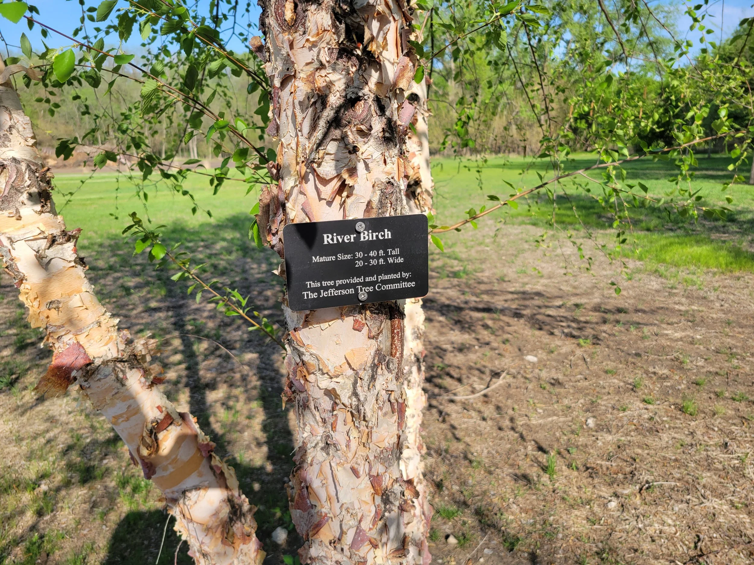 Arboretum Signs and Tree Labels | Plant ID Signs — Lark Signs