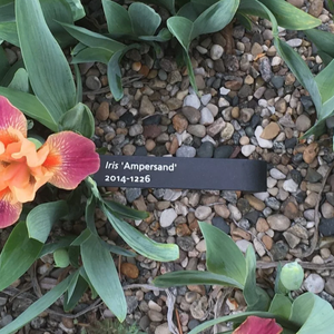 Botanical Garden Signs | Custom Plant Identification Signs — Lark Signs