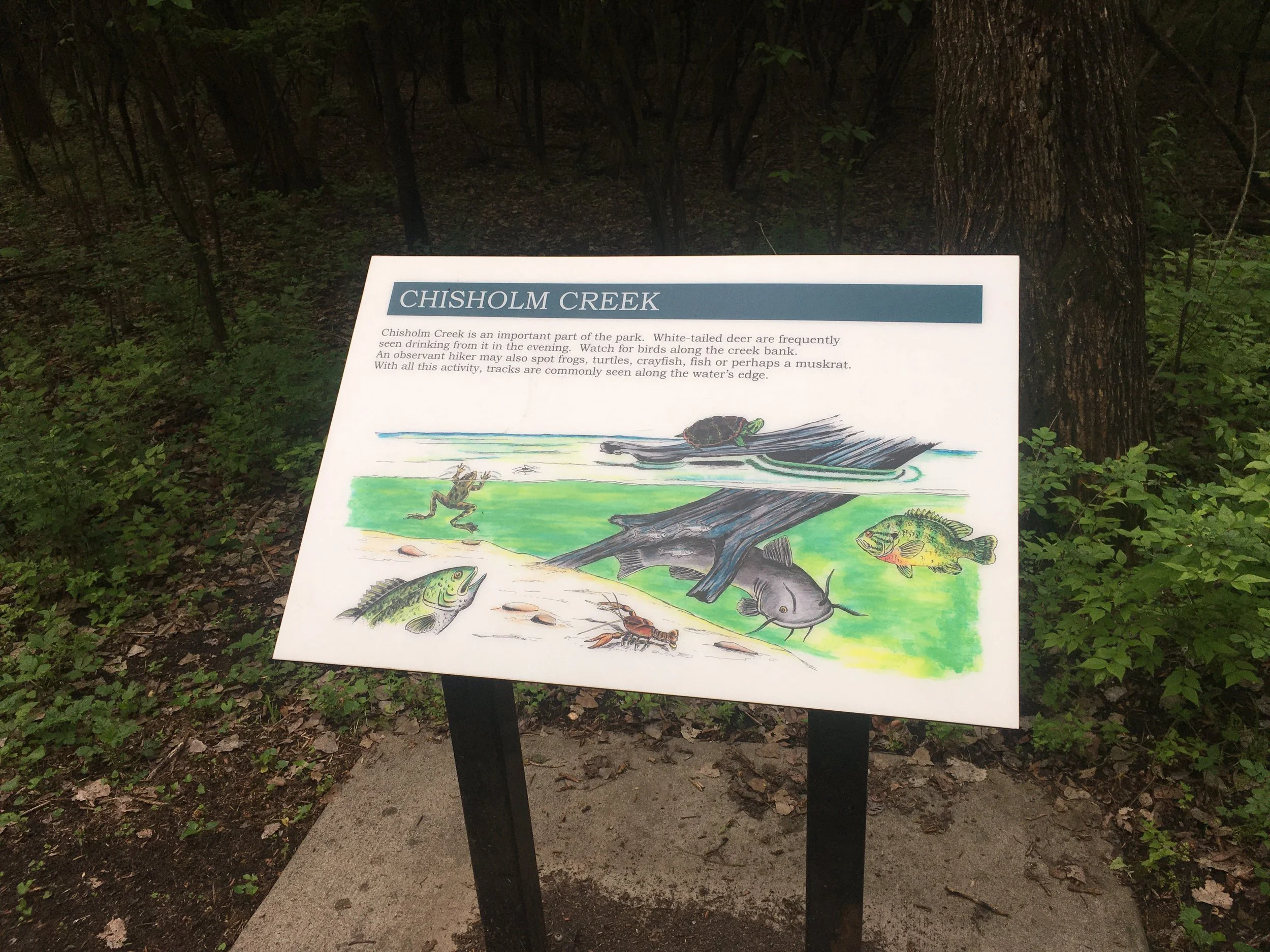 Interpretive Signs | Custom Outdoor Signs for Parks and Museums — Lark ...