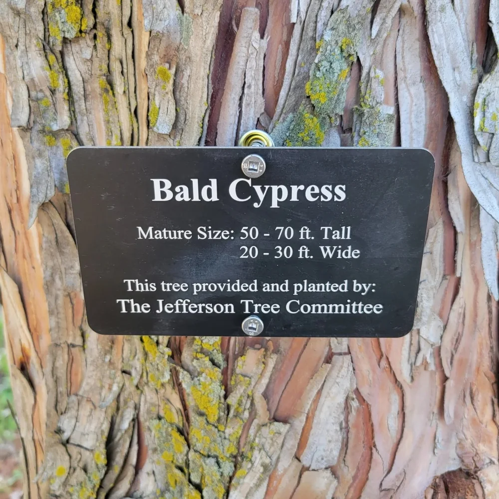 Plant ID Signs and Markers | Custom Botanical Garden & Arboretum ...
