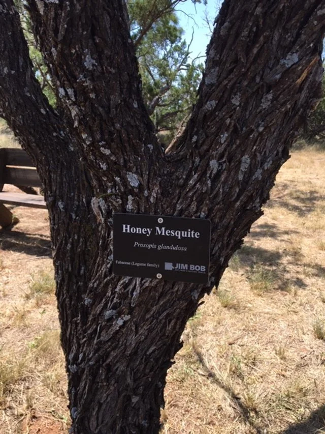 Arboretum Signs and Tree Labels | Plant ID Signs — Lark Signs