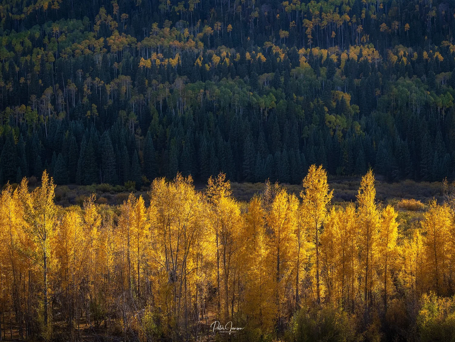 Peter Jonson | Fine Art Photography