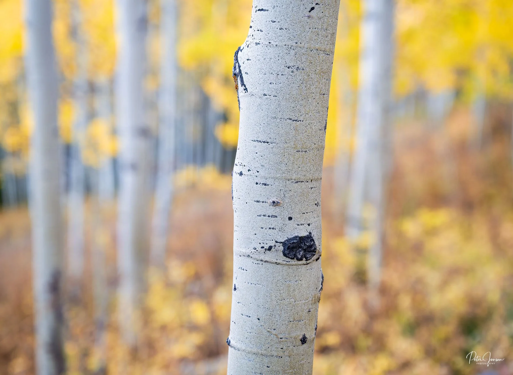 Peter Jonson | Fine Art Photography