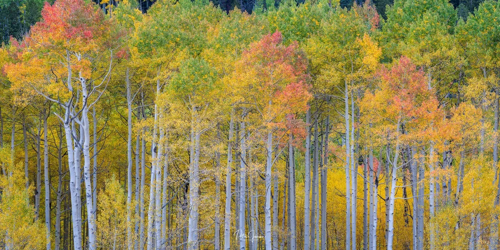 Peter Jonson | Fine Art Photography