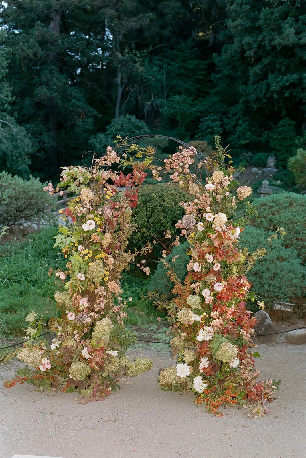 Form & Flower
