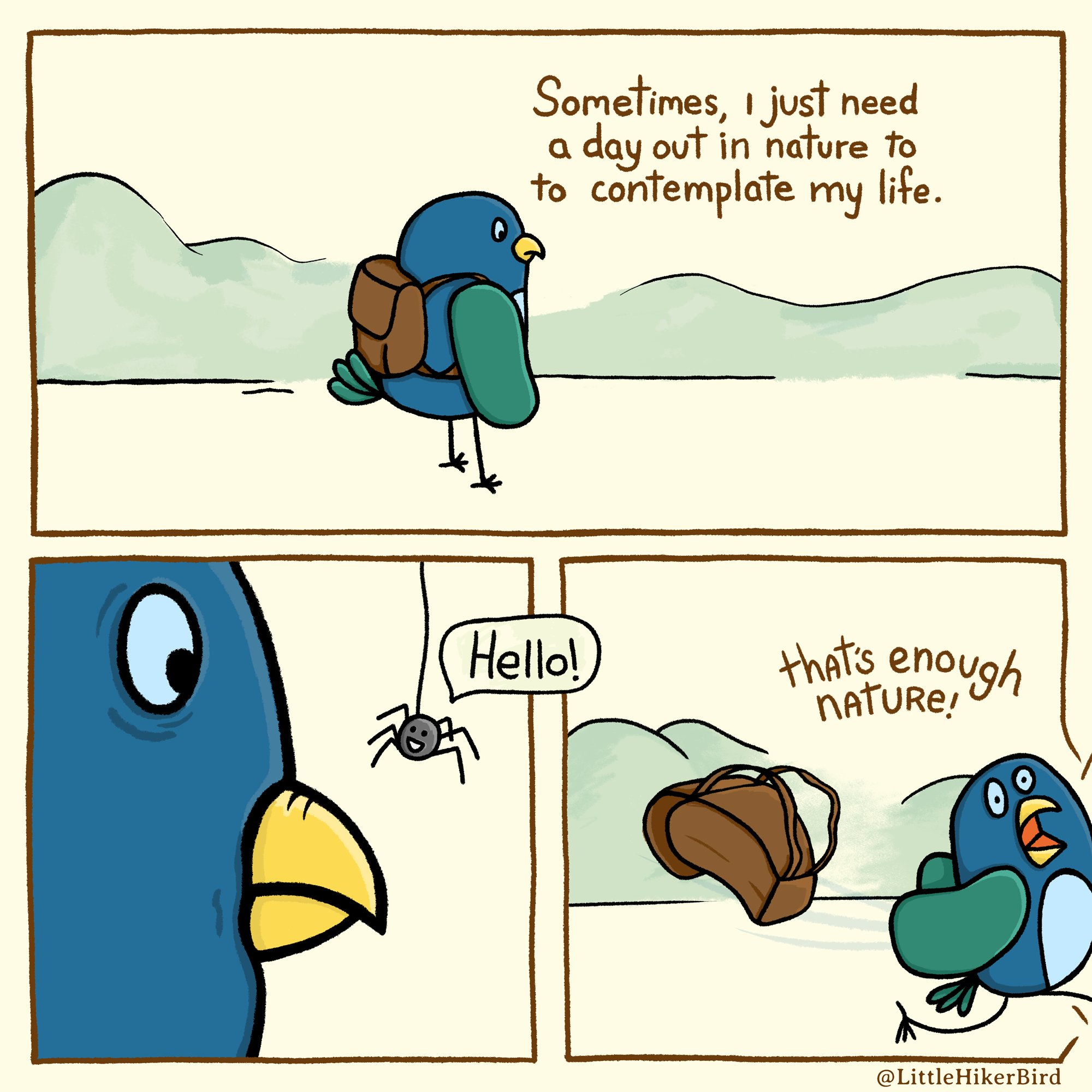 Little Hiker Bird — Carol Patton