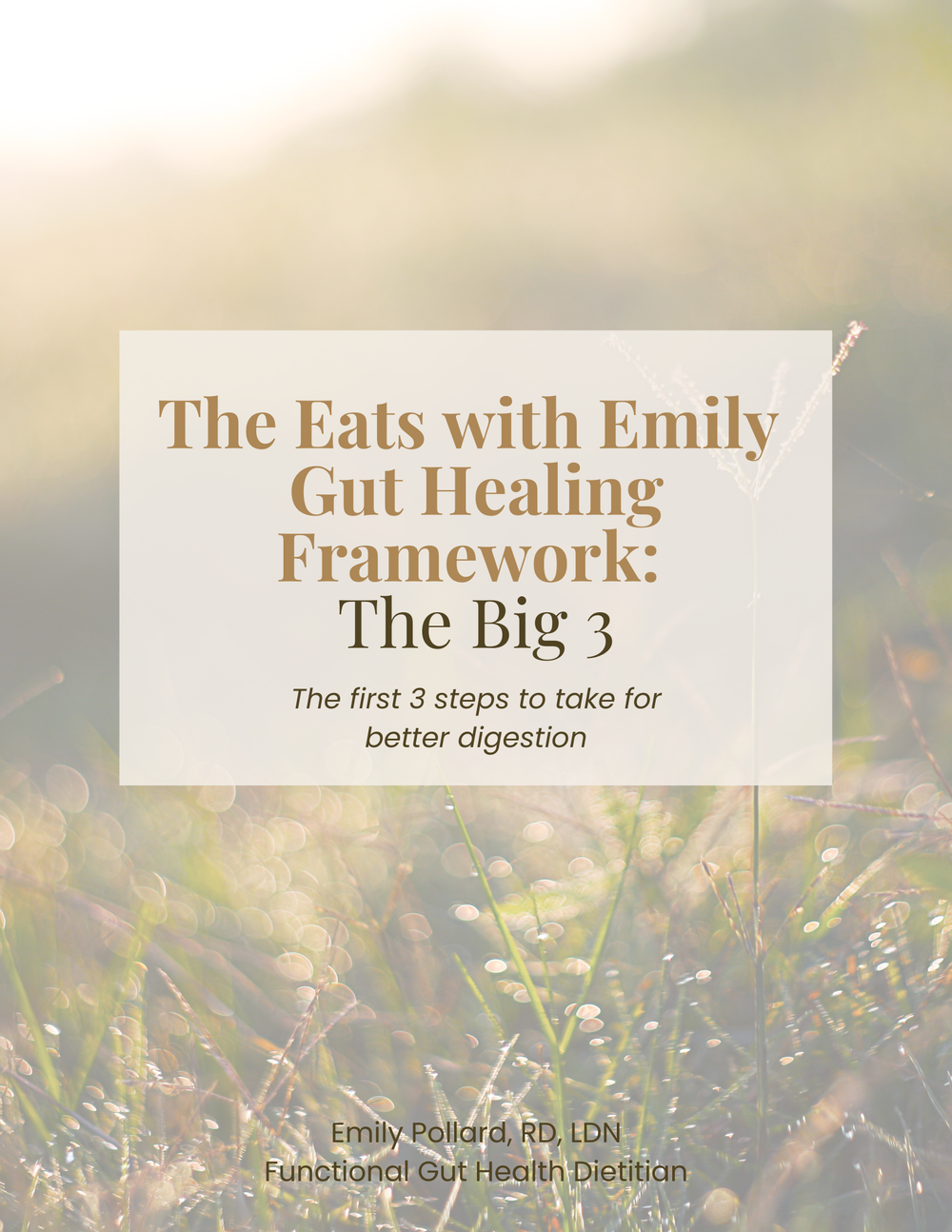 FREE Gut Health Guide — Eats with Emily Website