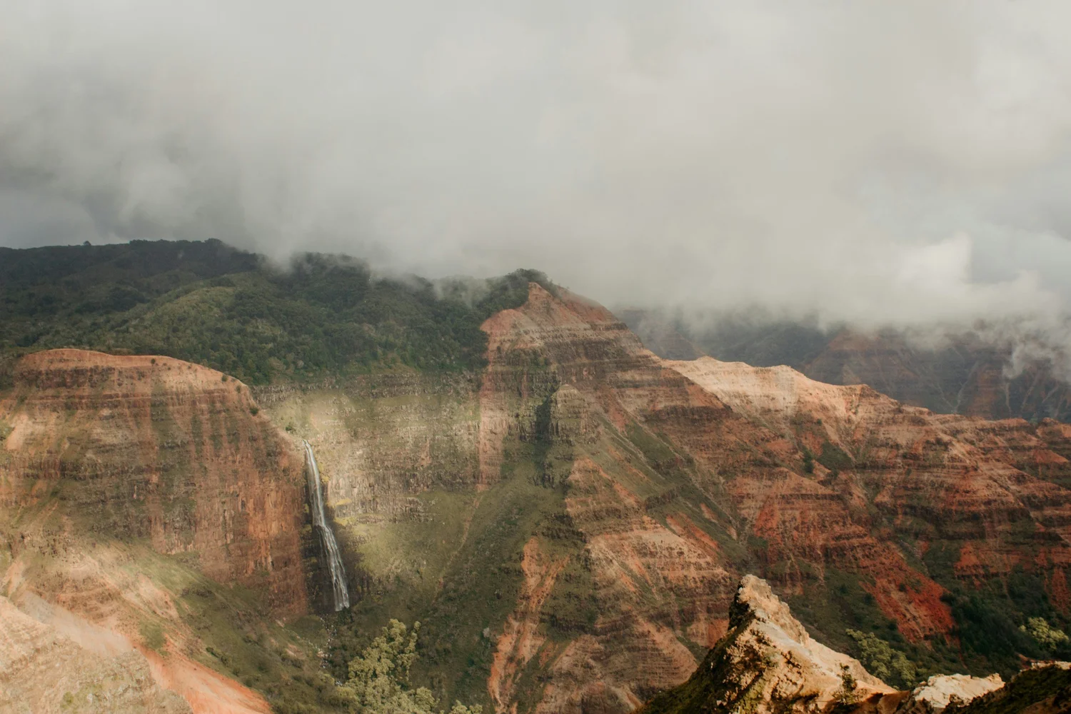 Kauai Elopement Guide — Sally Grieshaber Photography