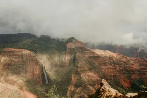 Kauai Elopement Guide — Sally Grieshaber Photography