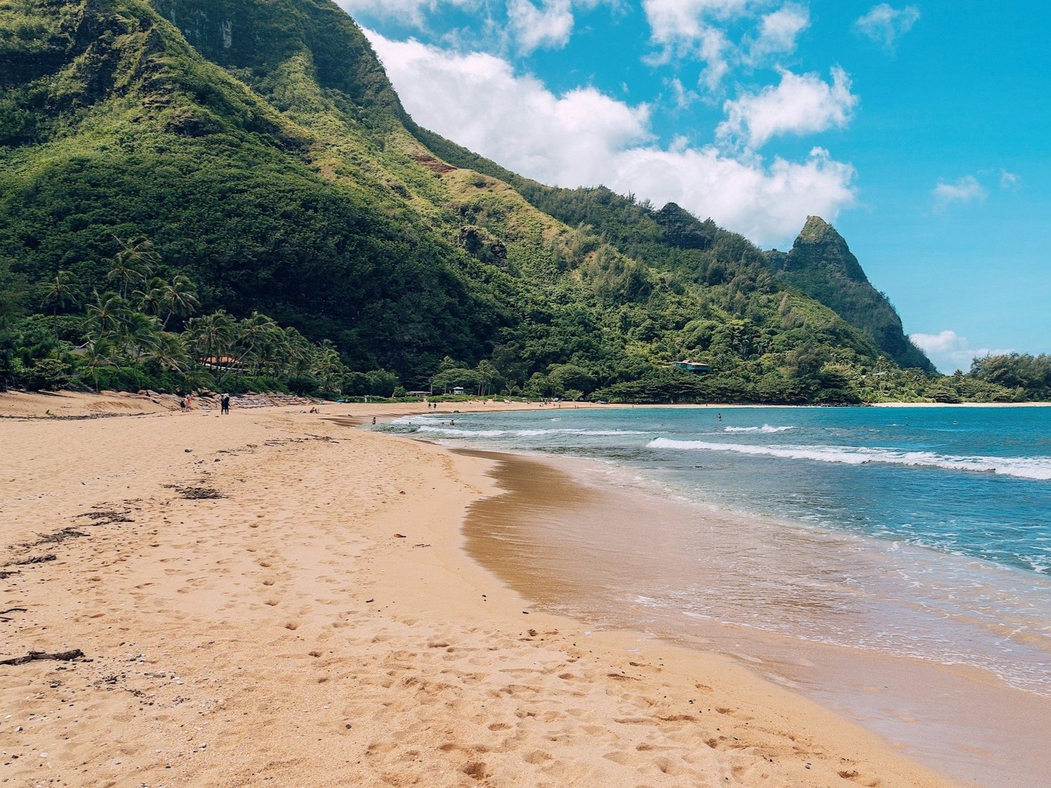 Kauai Elopement Guide — Sally Grieshaber Photography
