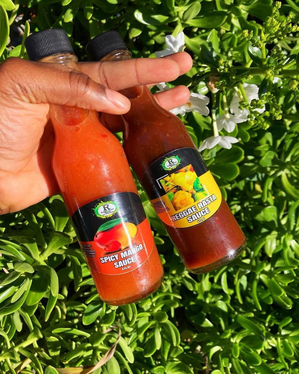 Reggae Rasta Styles — NorCal Food Truck Association