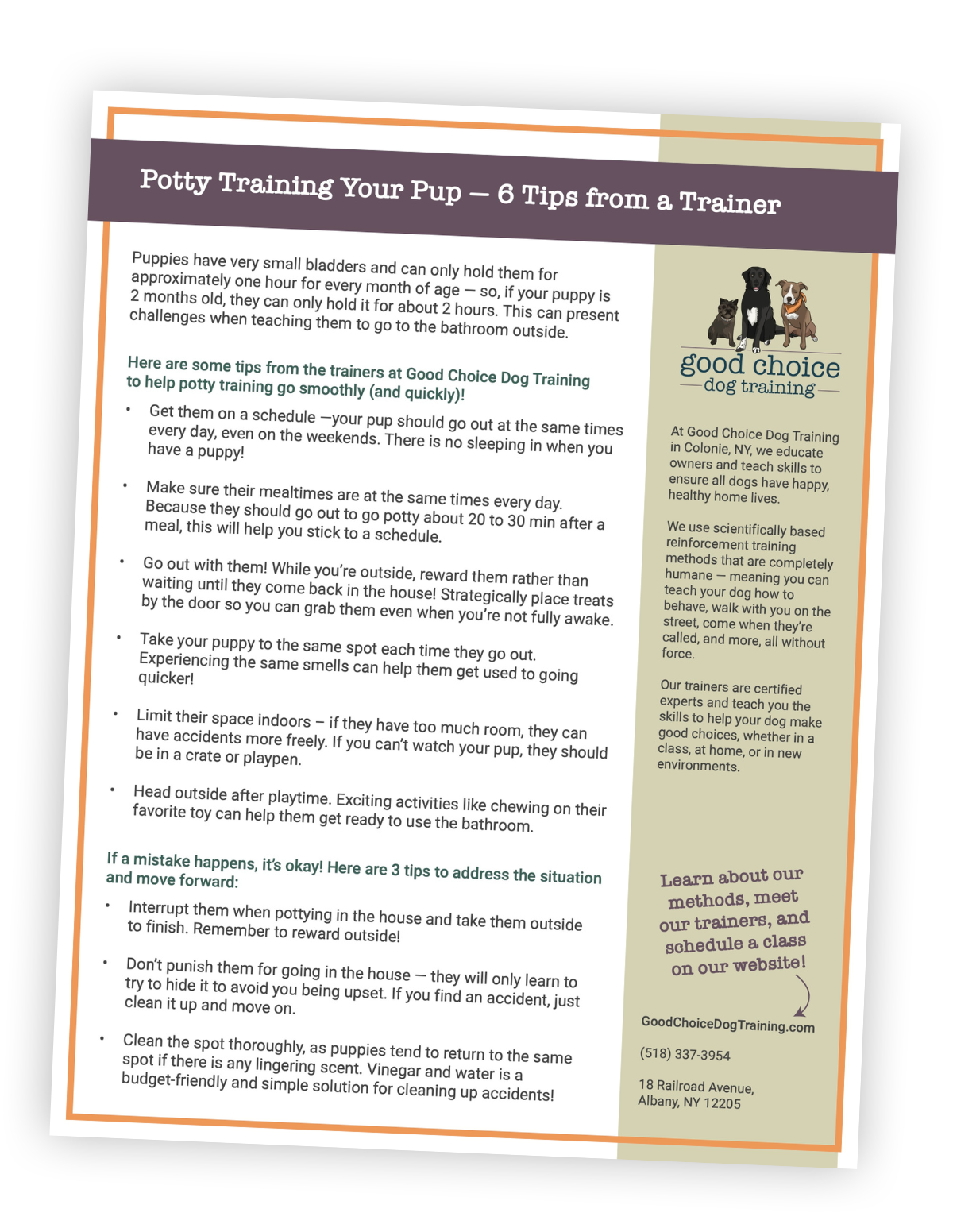 Train Your New Pet! Puppy Class & Enrichment | Good Choice Dog Training