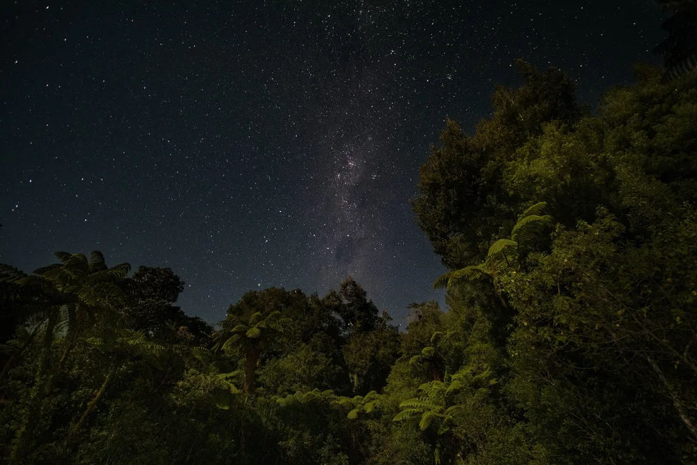 Mighty Waikato — Te Karaka Lodge | Rural Retreat