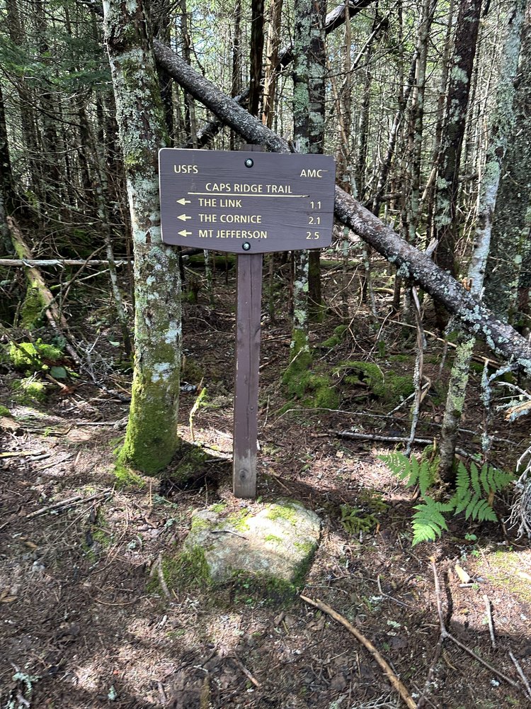 Mt Jefferson via Caps Ridge Trail — A Talk in the Woods