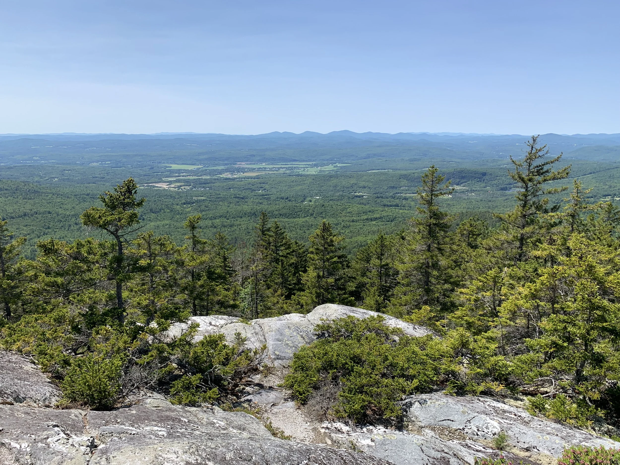 Black Mountain: Chippewa Trail — A Talk in the Woods