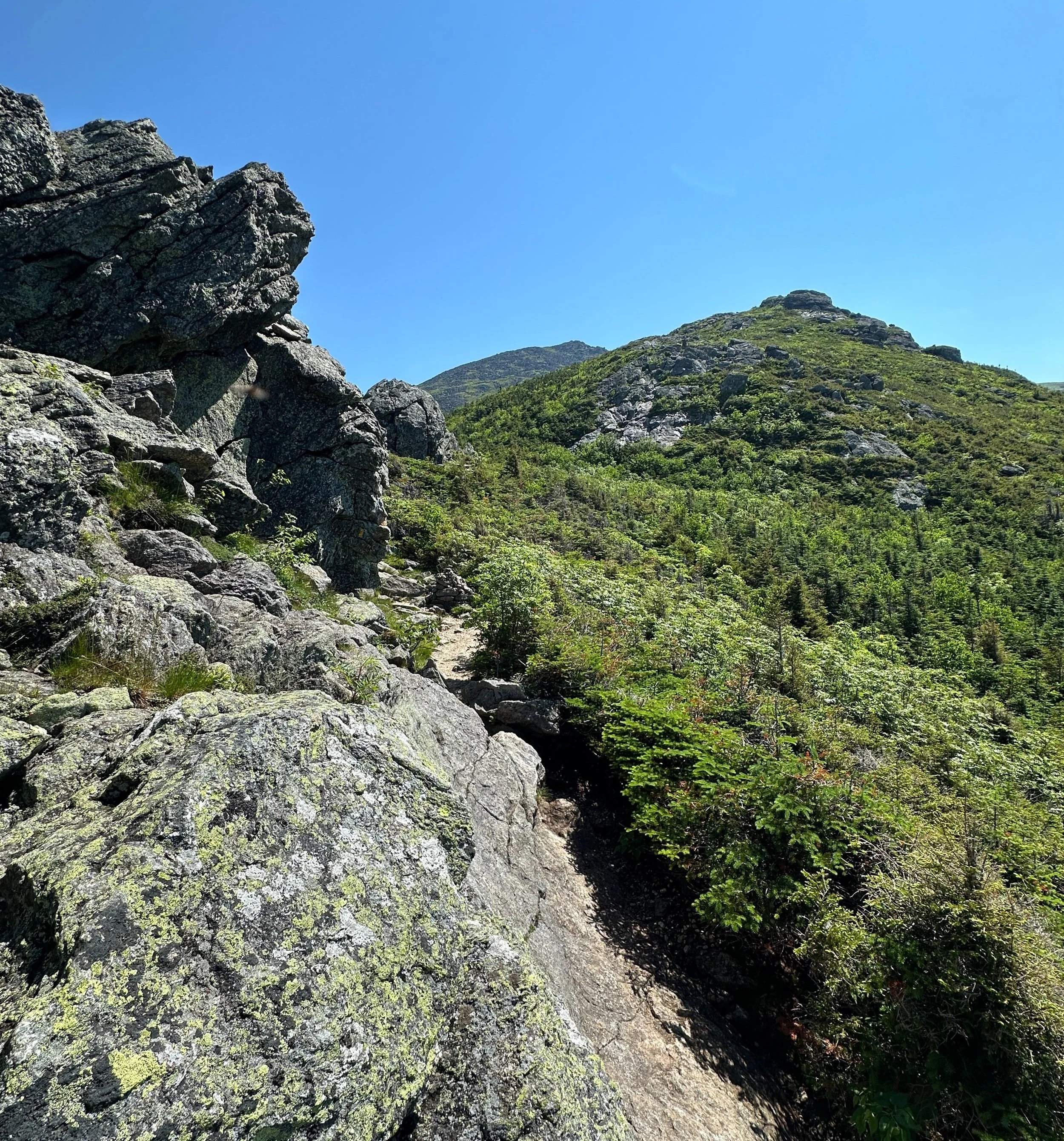 Mt Jefferson via Caps Ridge Trail — A Talk in the Woods
