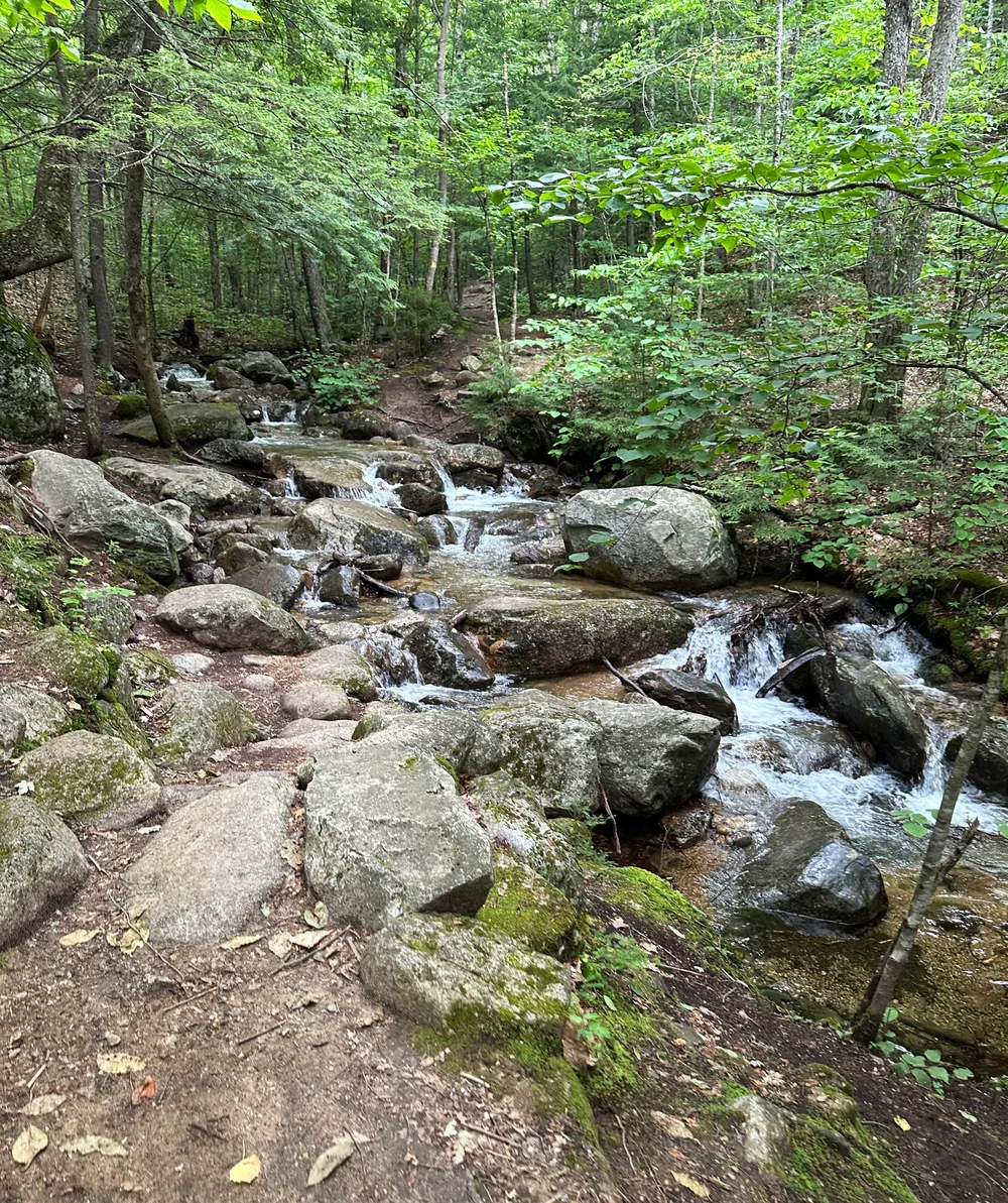 Welch + Dickey Mtns — A Talk in the Woods