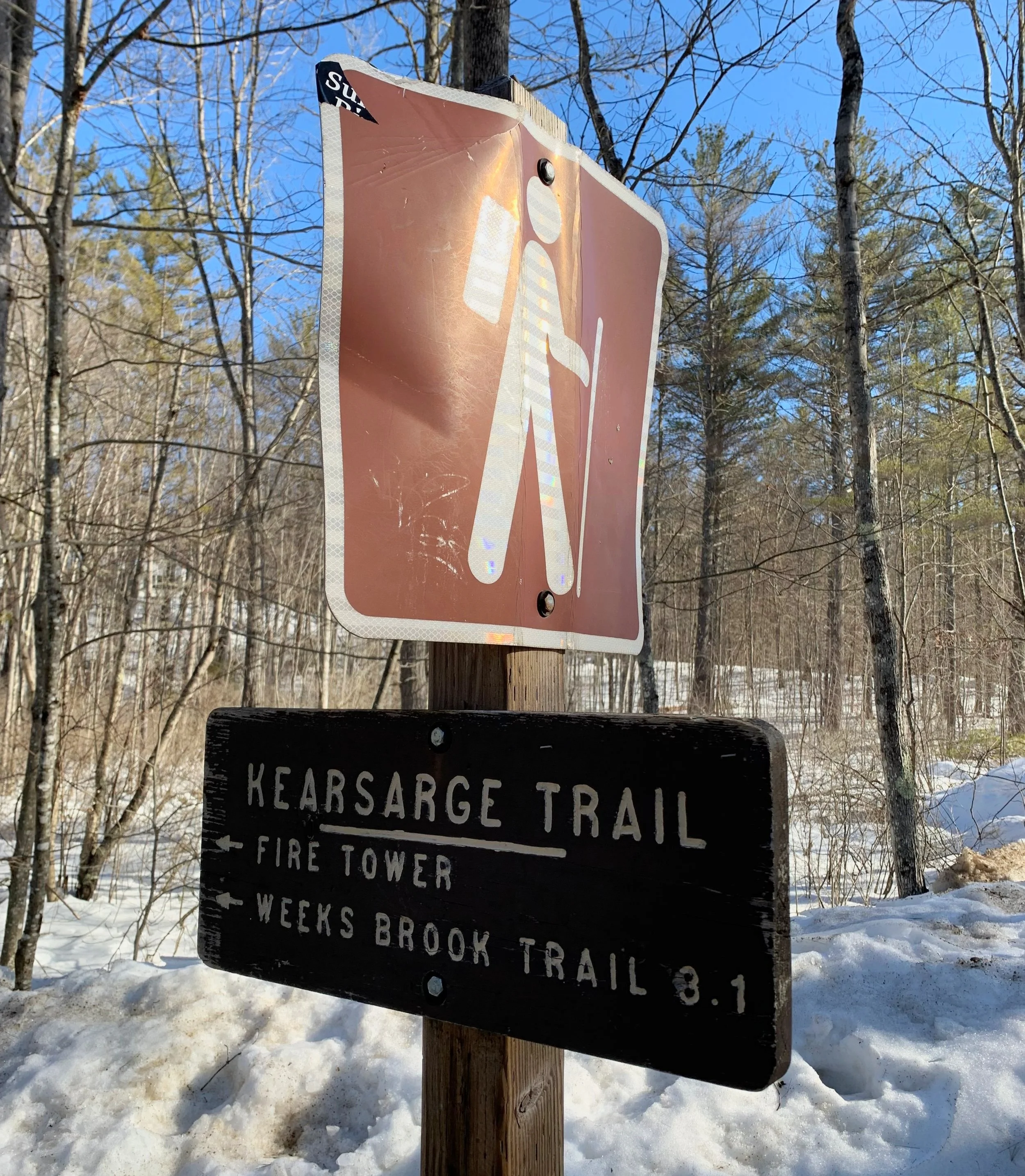 Kearsarge North (Trail) — A Talk in the Woods