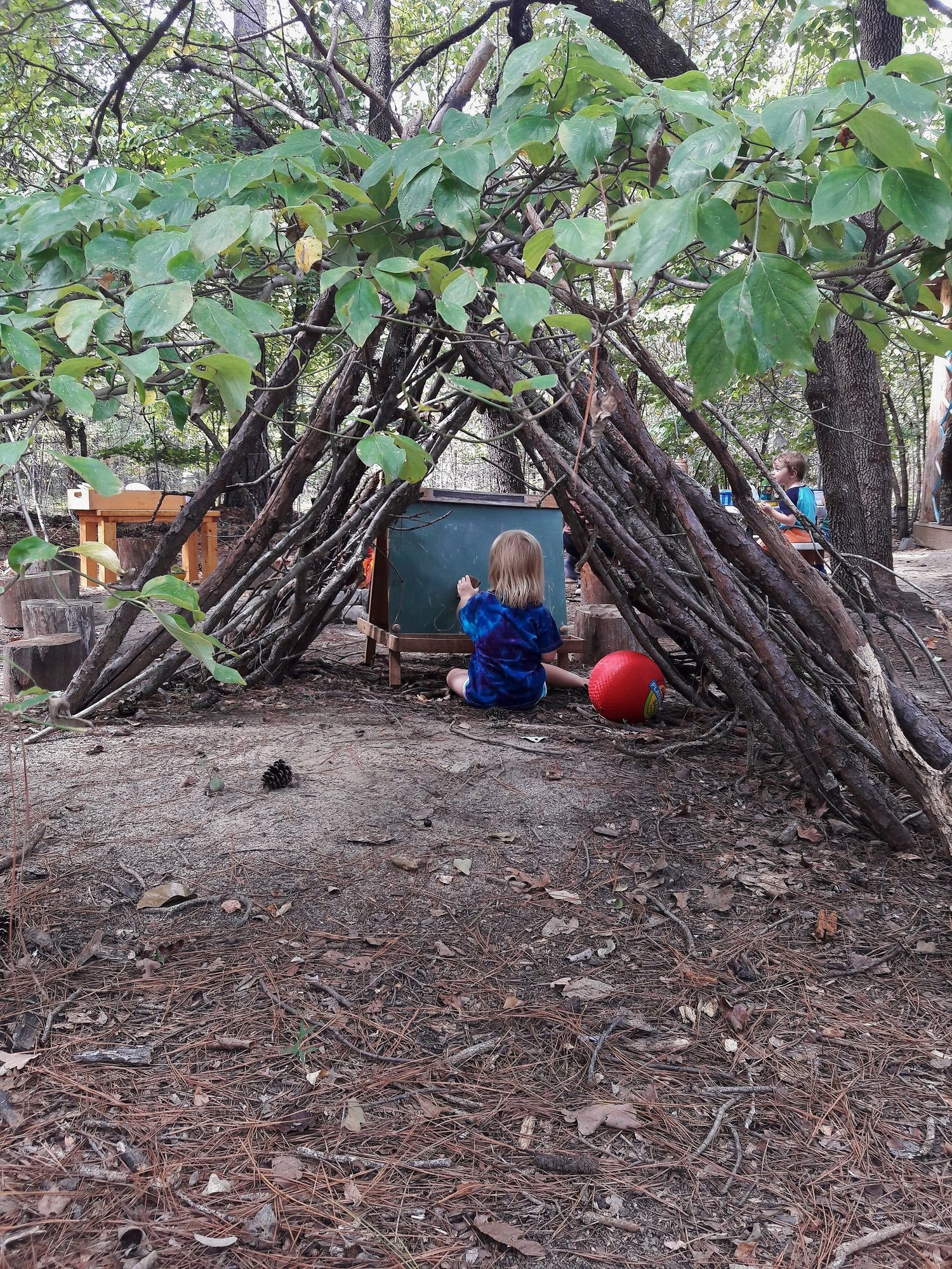 About — Ladybug Farm